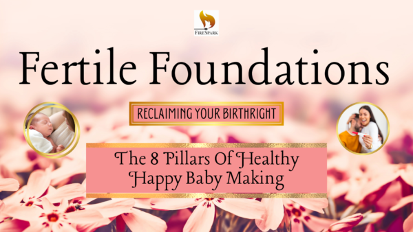 Fertile Foundations – How To Restore Fertility & Reproductive Vibrance | Thriving Women in ...